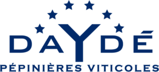 Home - Castres Olympique - Club de rugby Top 14